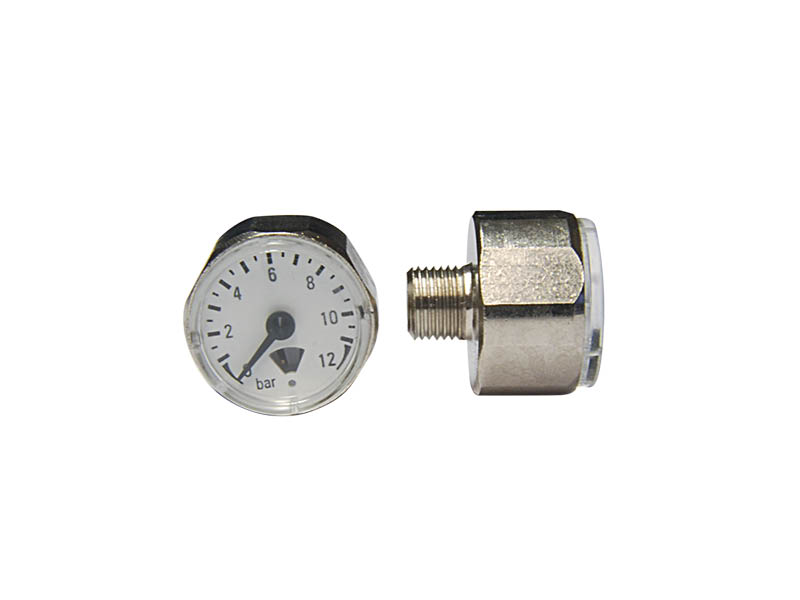 Berizzi | Rear manometer Ø21mm for paint spraying pumps